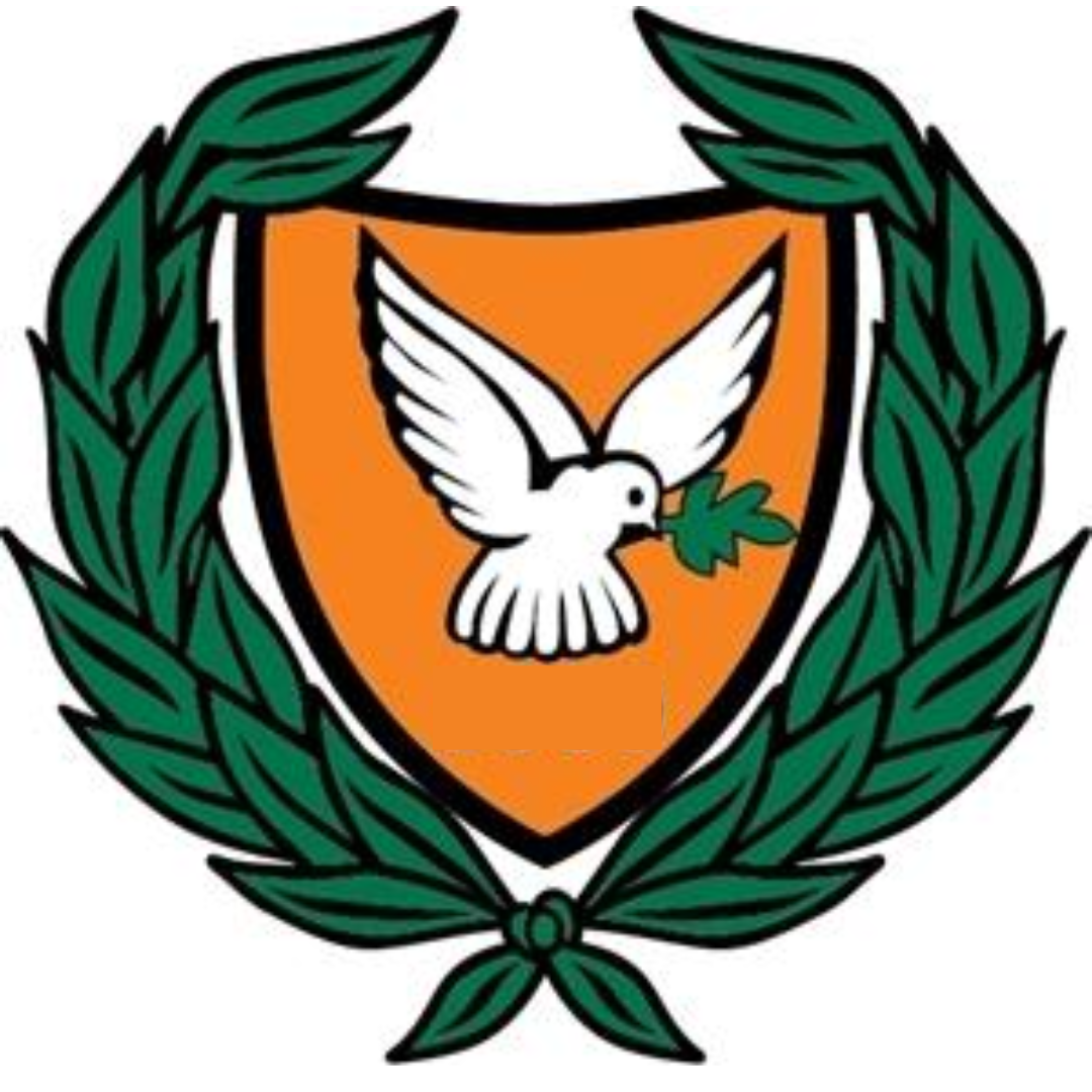 Θέματα και Λύσεις Κυβερνητικών Εξετασεων του 2024 για Κλίμακα Α8-10-11
